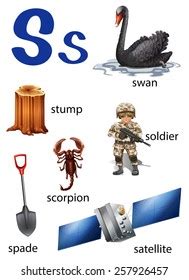 Things That Start Letter S On Stock Vector Royalty Free Shutterstock