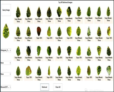 Cbir Using Ycbcr Histogram It Is Observed That All Retrieved Images Are