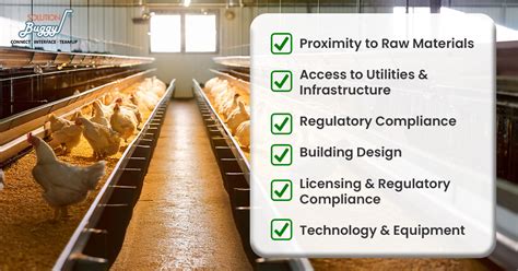 A Complete Guide To Starting A Poultry Processing Plant