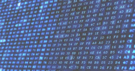 How Algorithms Can Help Identify Key Issues For Voter Segments