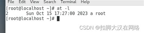 linux一次性计划任务和周期计划任务 linux 一次性计划任务 csdn博客