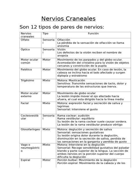 Nervios Craneales Pdf
