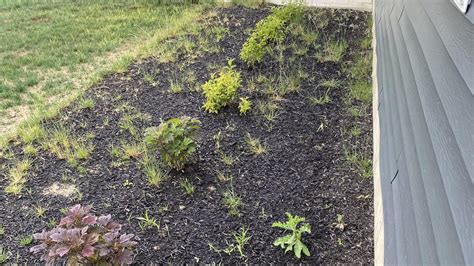 Need Help Removing Grass From Landscaping Rlawncare