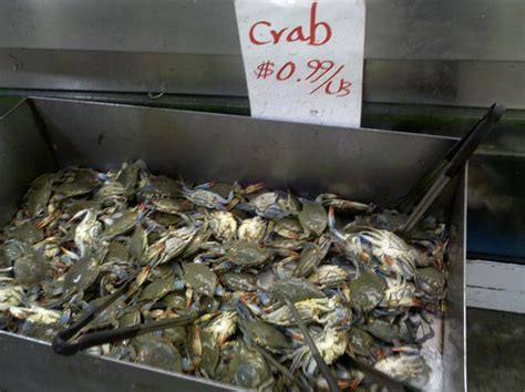 Epicureous Around Town Lotte Assi Plaza