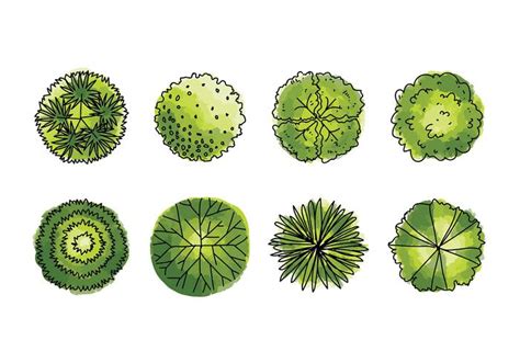 Tree Top SVGs For Free Download