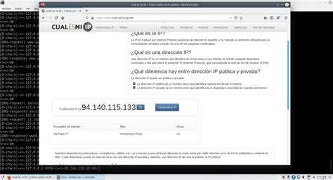 how to use proxychains and tor on linux to be anonymous on the internet