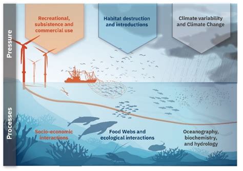 Emf Risks From Offshore Wind A Complete Understanding Integral