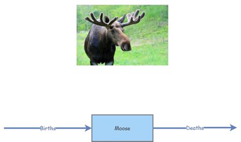 Step 1 Basic Population Model Linear Insight Maker