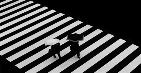 получение истории браузера Python — Teletype