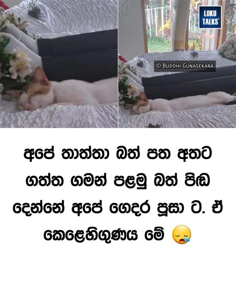 ලොකු ටෝක්ස් Loku Talks තෙත හොම්බෝ විතරක් නෙවේ පුරු පුරු මැෂිනුත්
