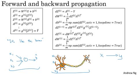 Review Andrew Ngs Deep Learning Specialization Arinti
