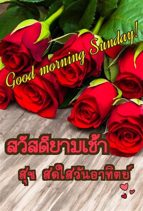 ปักพินโดย Wawpa Po ใน วันอาทิตย์ Sunday อาหารจานหลัก ดอกไม้ วันอาทิตย์