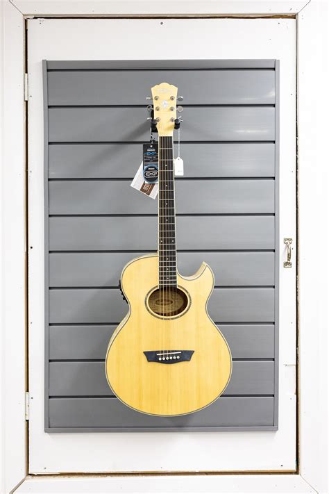 Washburn Festival Ea20 2022 Aurora Music Co