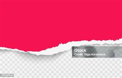 빨간 찢어진 종이 부드러운 그림자 배너를위한 3d 투명 템플릿 변형 된 핑크 골판지 복사 공간이있는 벡터 텍스처 일러스트레이션이있는 사실적인 찢어진 빈 수평 배경 0명에