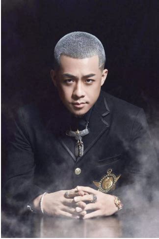 陌陌大壮出席全球中文音乐榜上榜王菊等女星秒变小迷妹 娱乐 环球网