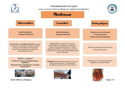 Micetomas Nicole Villacreses Rodriguez Udocz