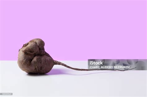 못생긴 야채 유기농 식품 변형 된 사탕무 뿌리 네온 조명 복사 공간 비트 뿌리에 대한 스톡 사진 및 기타 이미지 비트 뿌리