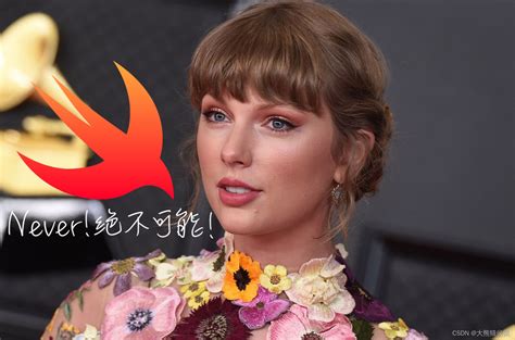 Swiftui 趣谈之：绝不可能（never）的 View！swift Never Csdn博客