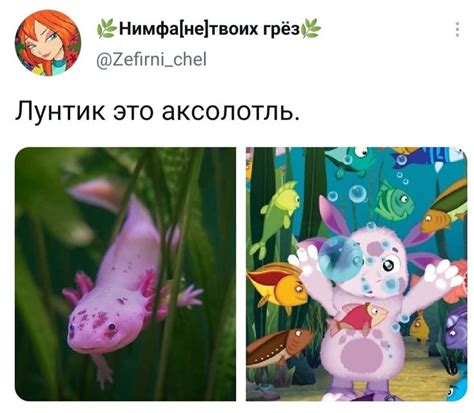 Пин от пользователя Alexey Gudovskyi на доске 🥺ня Веселые мемы Мультфильмы Визитки фотографа