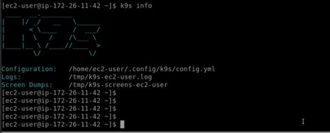 How To Install K9s In Amazon Linux 2023 Linuxshout