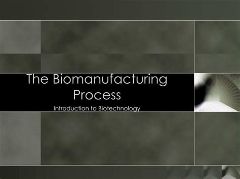 Ppt The Biomanufacturing Process Powerpoint Presentation Free Download Id 5504451