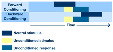 Consumer Behaviour Notes