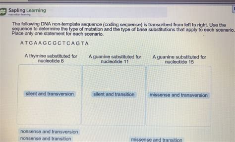 Solved Sapling Learning The Following Dna Non Template Se