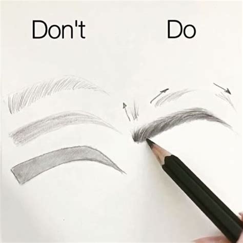 Mastering The Art Of Drawing Eyebrows Step By Step Tutorial