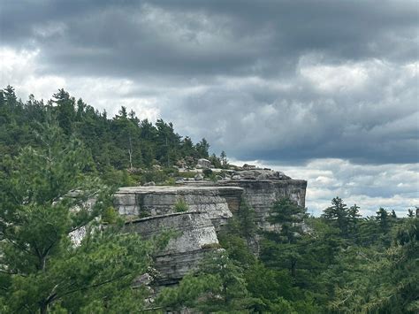 Fastai Course Chapter 2 Qanda On Wsl2 By David Littlefield Codeburst