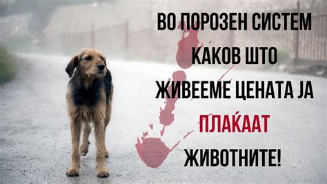 Центар за управување со кризи