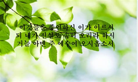 대림절 대강절 강림절 의미와 뜻 네이버 블로그