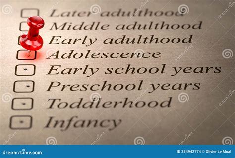 Stages Of Life Periods Of Human Development During Lifespan Royalty