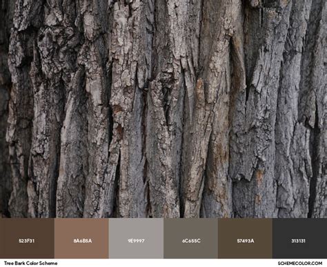 Tree Bark Color Scheme Image Color Palettes SchemeColor Com