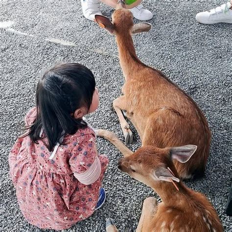 Penelope Harding Penelopeeleanor • Threads Say More