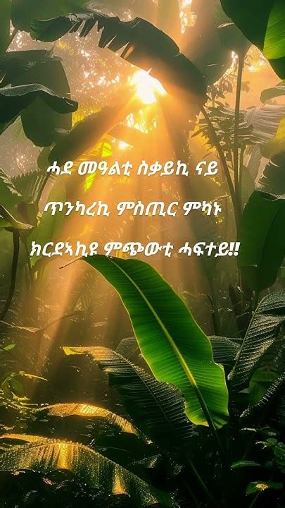 eritrean eritreanmusic eritrea habesha eritreancomedy eritreanfilm eritreanmovie