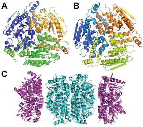 Biology Special Issue Protein Protein Interactions