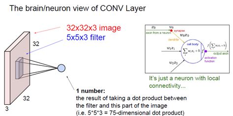 CS231n CNN For Visual Recognition Lecture 5 Convolutional Neural
