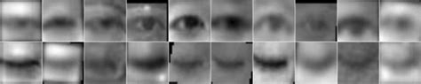 sample images from zju database top to bottom open eye samples and download scientific