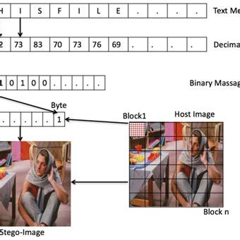 The Embedding Process Download Scientific Diagram