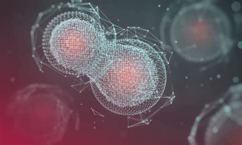 What Is Molecular Pathology Novopath