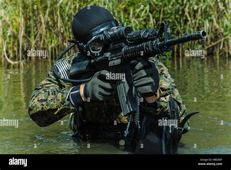 Navy Seal Frogman Logo