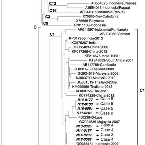 Phylogenetic Tree Constructed From Full Length Hepatitis B Virus Hbv Download Scientific