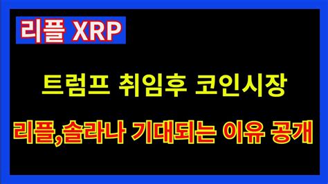 💎리플xrp💎 현재 리플이 기대되는이유 공개 Youtube