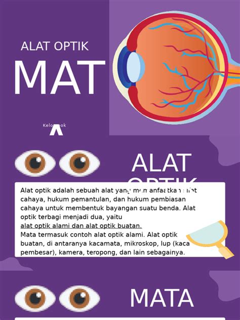 Colorful Parts Of The Eye Science Presentation Pdf