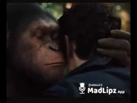 Sex Monky YouTube