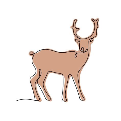 Premium Vector Deer Continuous Line Colourful Vector Illustration