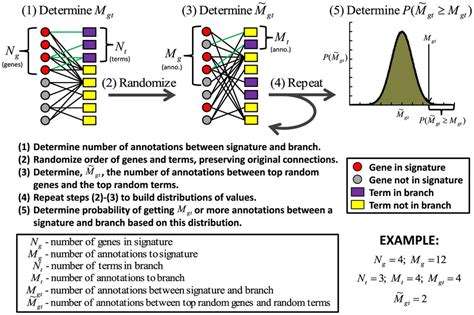 Annotation Enrichment Analysis An Alternative Method For Evaluating The Functional Properties