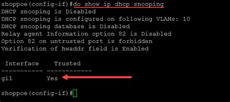 Dhcp Snooping Configuration Protect Against Rogue Dhcp Servers