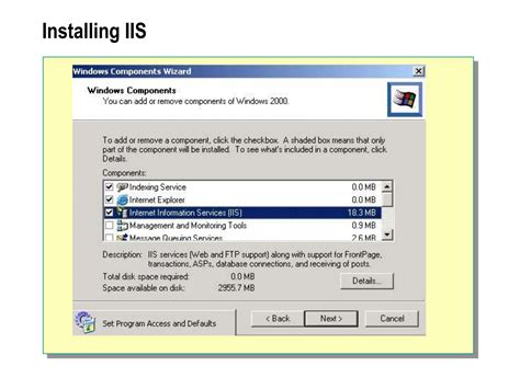 Iis Internet Information Service Nsappt
