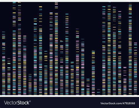 Big Genomic Data Visualization Royalty Free Vector Image